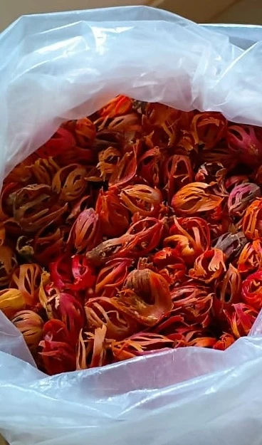 Agricultural Products | Adsngin